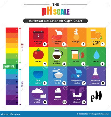 The PH Scale Universal Indicator PH Color Chart Diagram Stock Vector Illustration Of Acidity