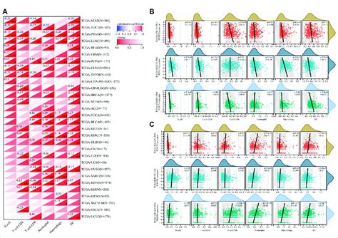 A Based On The TIMER Database The Correlation Between TGM3