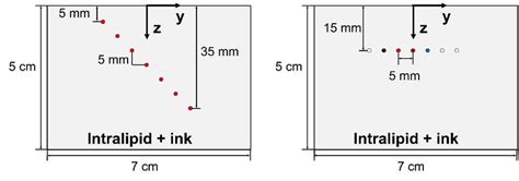 Cross Sectional View Of Phantom Inclusion Geometry For The Penetration
