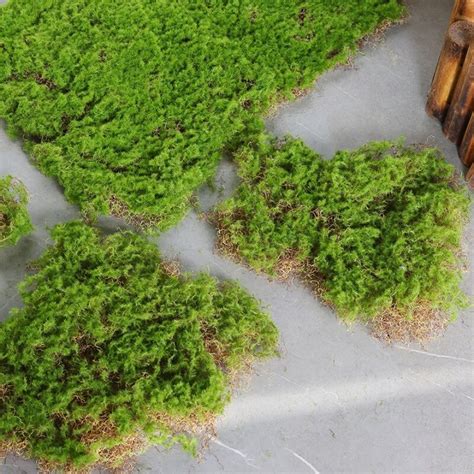 Diy Home Lawn Mini Garden Home Micro Landscape Decoration Simulation