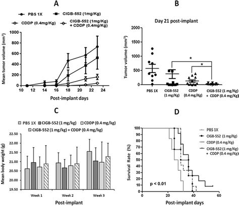 In Vivo Antitumor Activity Of Cigb 552 1 Mgkg Sc And Cddp
