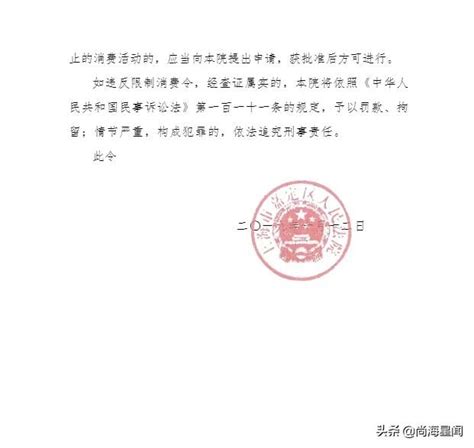 北京普思投資有限公司董事長王思聰，因債務被限制高消費 每日頭條