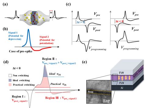 Stdp Learning Mechanism In An Artificial Synapse Device And Analysis