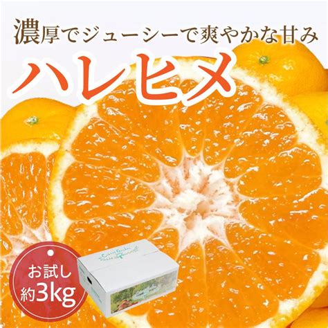 ハレヒメ お試し 約3kg はれひめ 愛媛県産みかん みかん 産地直送 送料無料 予約商品 182652908 マルワフルーツ園芸