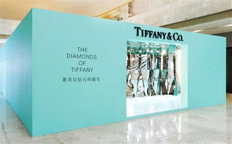 Tiffanyandco蒂芙尼的照片 微相册
