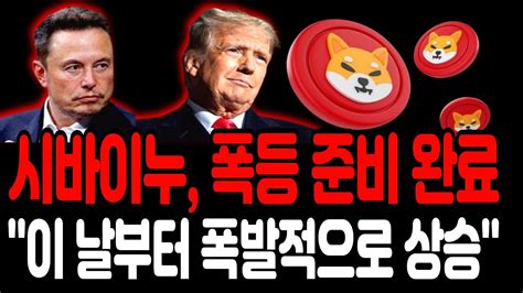 시바이누코인 전망 폭등 준비 완료 이 날부터 폭발적으로 상승 합니다 시바이누시바이누코인 밈코인 시바이누 비트코인