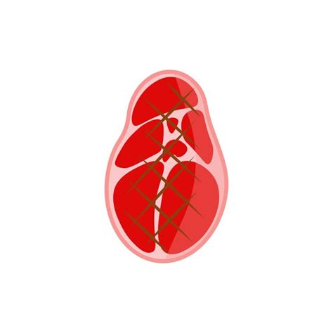 메모리얼 데이 바베큐 파티 축하 카드 미국 여름 바베큐 음식 고양이 가 스테이크 고립 된 색 배경에 터 일러스트 프리미엄 벡터