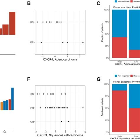 Evaluation Of The Proportions Of 22 Tumor Infiltrating Immune Cells In