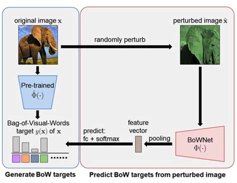 Self Supervised Learning