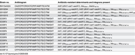 Antibiogram And Molecular Analysis Of The Antibiotic Resistance