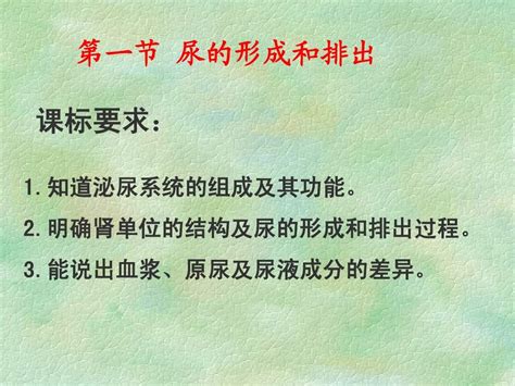 第一节 尿液的形成1word文档在线阅读与下载无忧文档