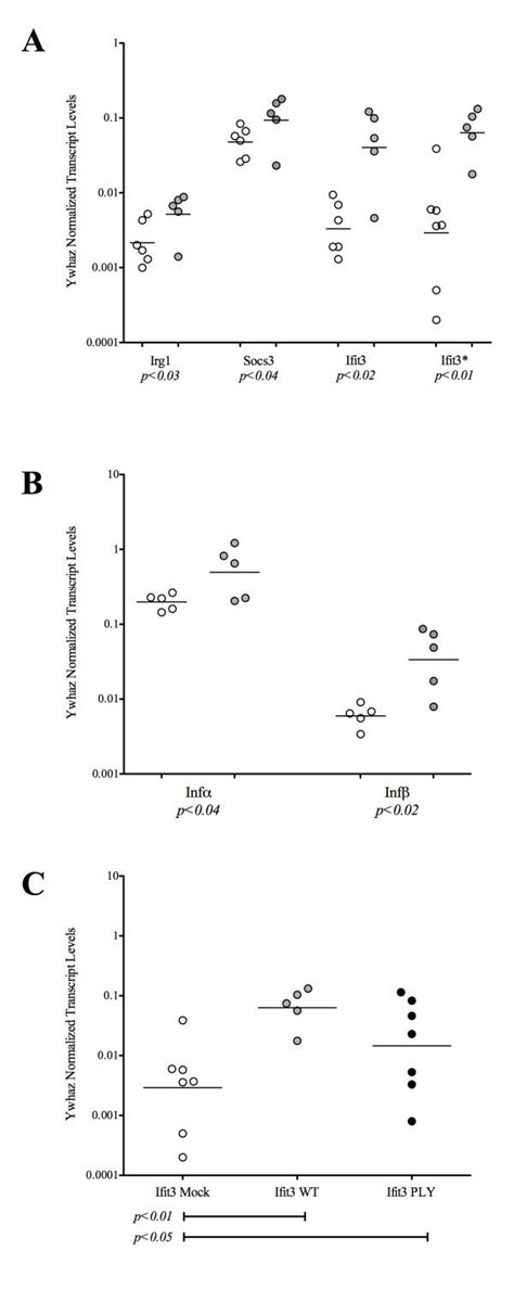 patterns of transcript abundance assessed by quantitative real time rt
