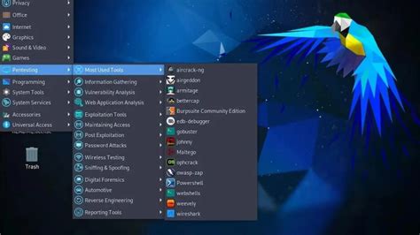 Setup Hack Environment Kali ParrotOS Streamlining Security