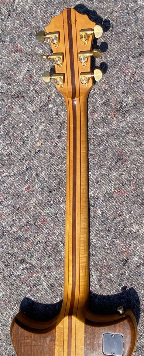 Roland Guitar Synth Controller Gr 300 1981 Walnut Guitar For Sale