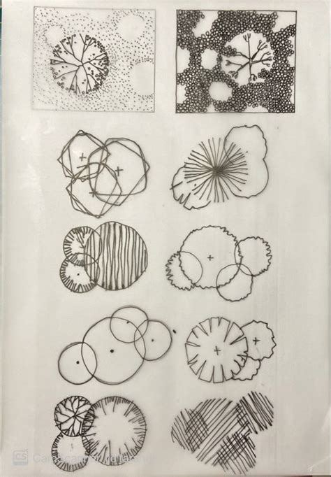 Tree Outlines Landscape Architecture Drawing Landscape Design Drawings Landscape Drawings
