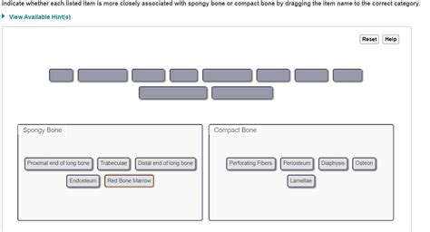 Solved Indicate Whether Each Listed Item Is More Closely Chegg