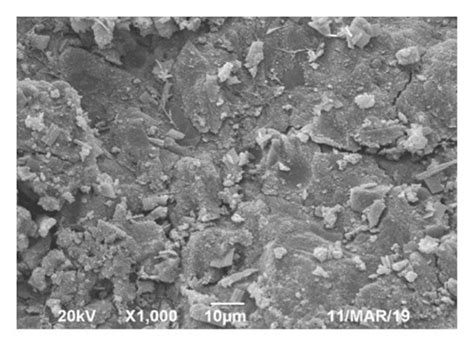 Microstructure Of Uhpc Without Lc Nc Additives Download Scientific