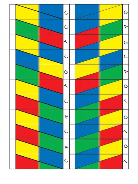 Dna Origami Template Printable Pdf