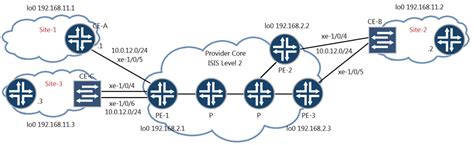 You Have The LDP Signaled VPLS Topology As Shown In The Exhibit CE B