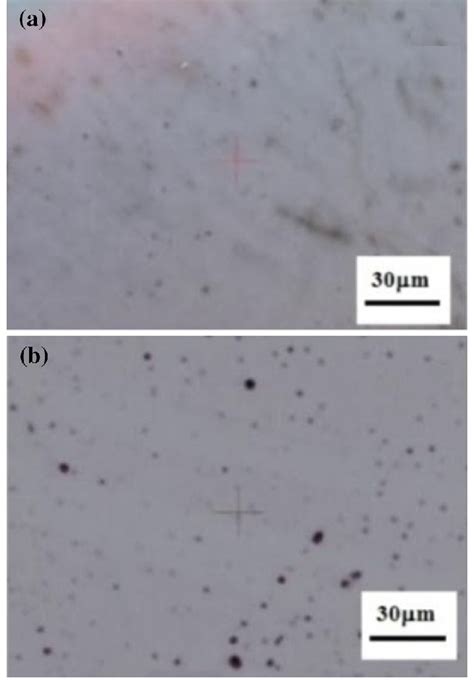A The Micrographs Of Sample A B The Micrographs Of Sample B Download Scientific Diagram