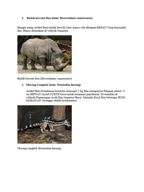 Badak Bercula Dua Pdf