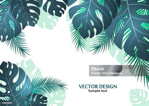 열 대 괴물 잎과 야자수 잎 벡터 배경 배너 전단지 또는 텍스트 또는 상징벡터 그래픽에 대 한 복사 공간 커버에 대 한 밝은 추상적인 배경 열대 기후에 대한 스톡 벡터 아트