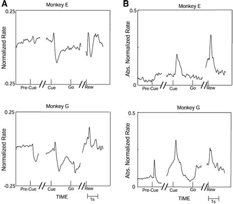 Population Responses Of Snr Neurons Revealed Similar Response Patterns