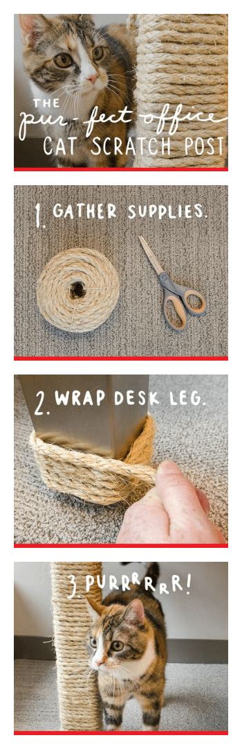 DIY Homemade Cat Scratching Post