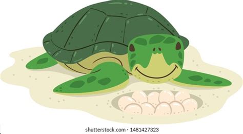 Snapping Turtle Laying Eggs