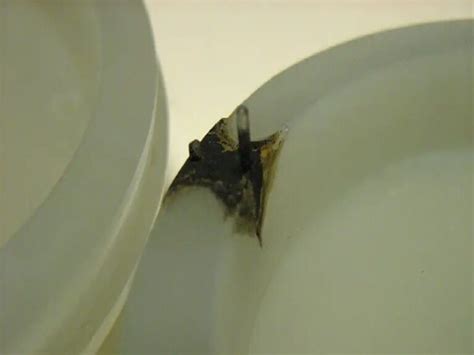 Different Types Of Injection Mold Cooling System And Design Principles Essential To Know