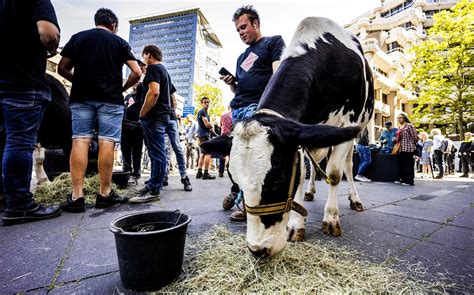Boeren Gaan Door Met Hun Protesten De Weerstand Tegen Acties Groeit