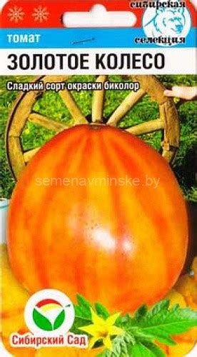 Купить семена почтой Минск