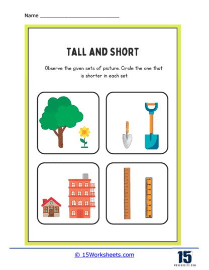 Sorting And Categorizing Worksheets Group And Organize 15