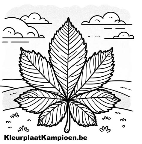 Kleurplaat Herfst Herfstblad Eenvoudig Kleurplaatkampioenbe
