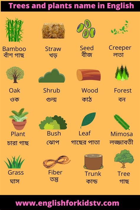 Names Of Trees And Plants In English