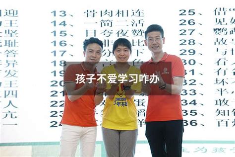 孩子不爱学习咋办 大黄蜂教育