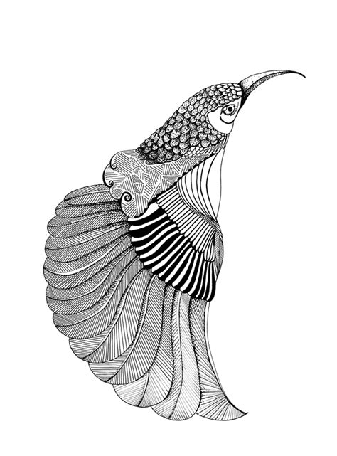Paradise And Birds On Behance