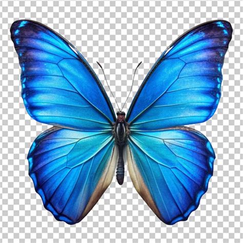 Vibrant Blue Butterfly Illustration Premium Ai Generated Psd
