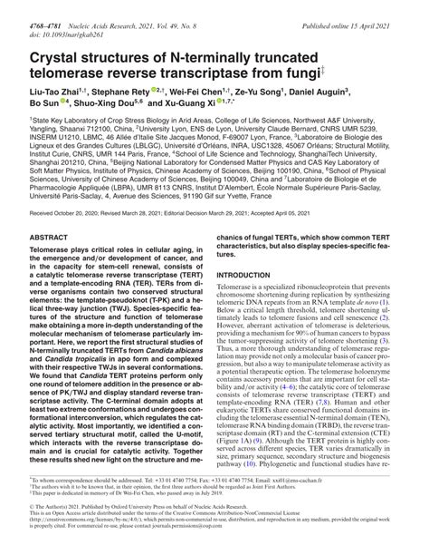 Pdf Crystal Structures Of N Terminally Truncated Telomerase Reverse Transcriptase From Fungi‡
