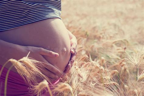 Tender Pregnancy Stock Image Image Of Love Bond Beauty 41547223