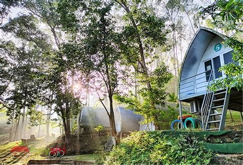 Trải nghiệm cắm trại ở Sơn Tinh Camp Ba Vì Hà Nội Review chân thực