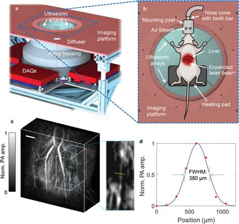Schematics And Performance Of The 3d‐pat System A Schematic Of The