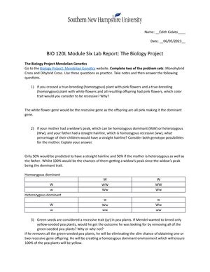 BIO 120L M1 Intro To Graphing Lab Report 1 Introduction To Graphing