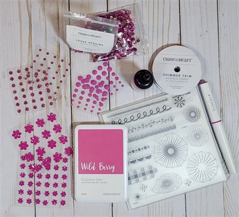 Wild Berry Berries Inks Bury Blackberry Strawberries