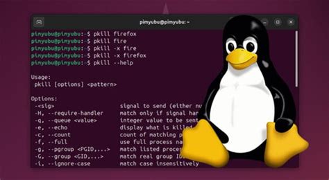 How To Find And Kill A Process Using A Specific Port On Macos Pi My