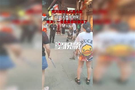 两只猫街头打架斗殴，引路人围观劝架，网友：一旁黑猫都叫警察了