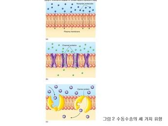 세포와 세포외환경 사이의 상호작용