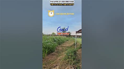 덕흥 파크골프장🏳 아담하고 도전하기 좋은 곳 파크골프 파크골프장 알바트로스 이글 티샷의정석 Youtube