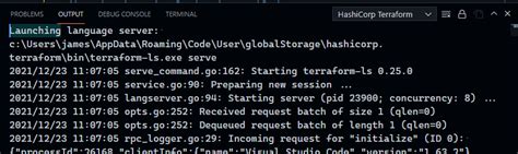 running hashicorp terraform formatter hangs · issue 878 · hashicorp vscode terraform · github