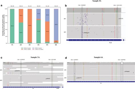 Nanopore Sequencing Enables Allelic Phasing Of Flg Loss Of Function
